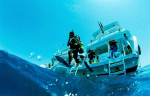Professional Scuba Diving Boat Trip – Hurghada - Red Sea Trips | It's ...